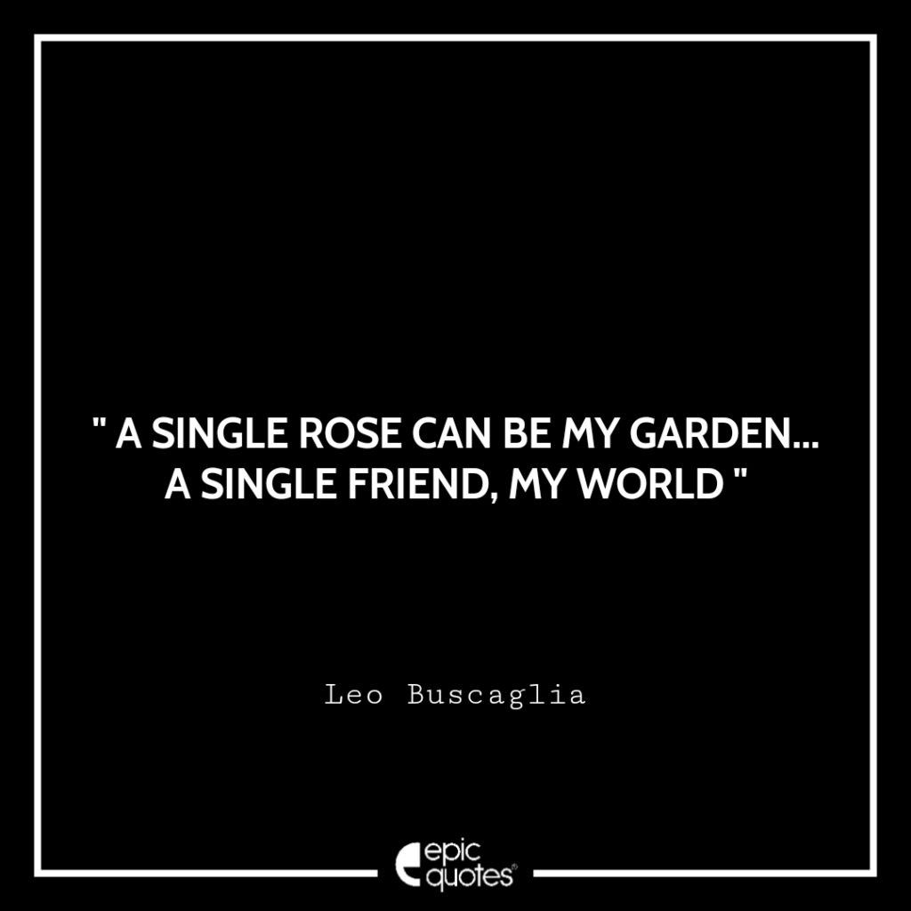 A single rose can be my garden… a single friend, my world