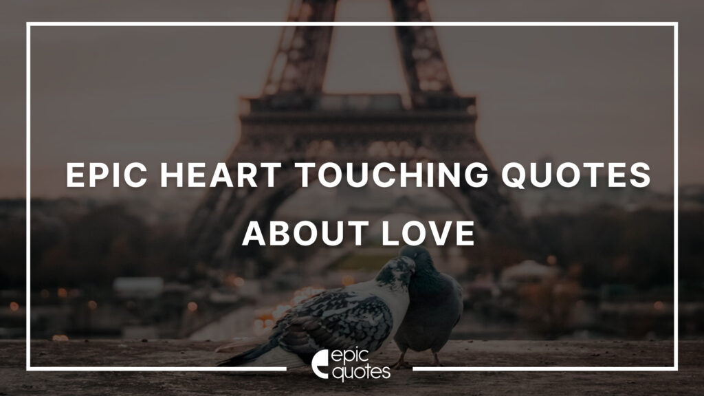 Epic Heart Touching Quotes About Love