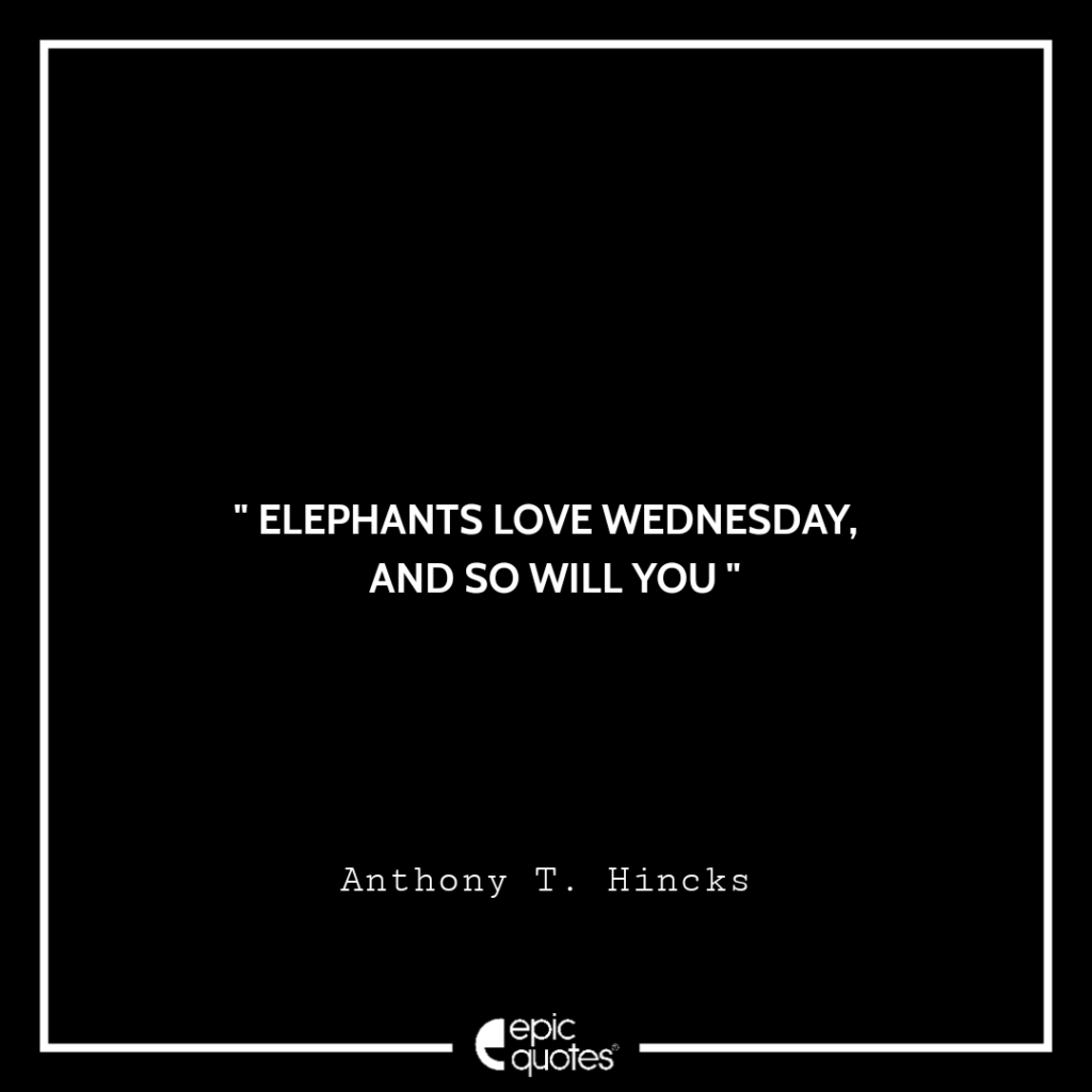 Elephants love Wednesday, and so will you. – Anthony T. Hincks