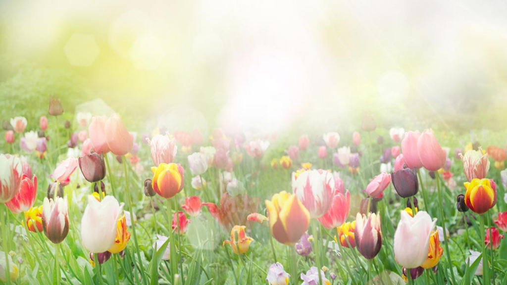 15 Most Beautiful March Quotes To Welcome The New Month